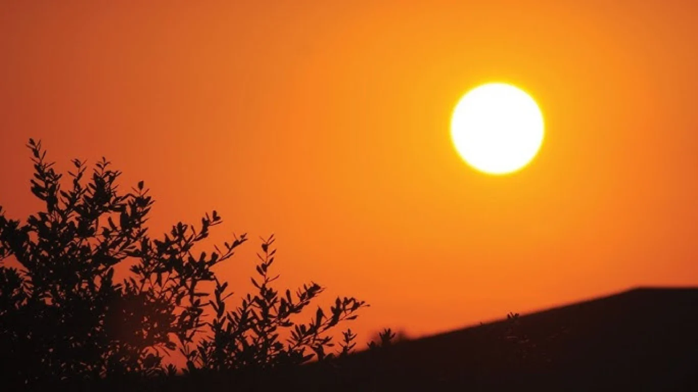 Sunlight Exposure: 7 Vital Facts For Better Health