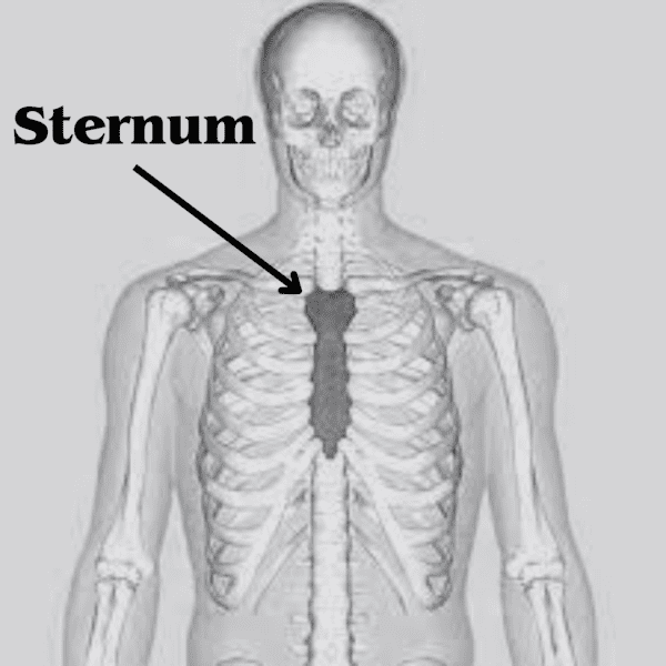 7 Unique Facts About Sternum Or Breastbone Pain