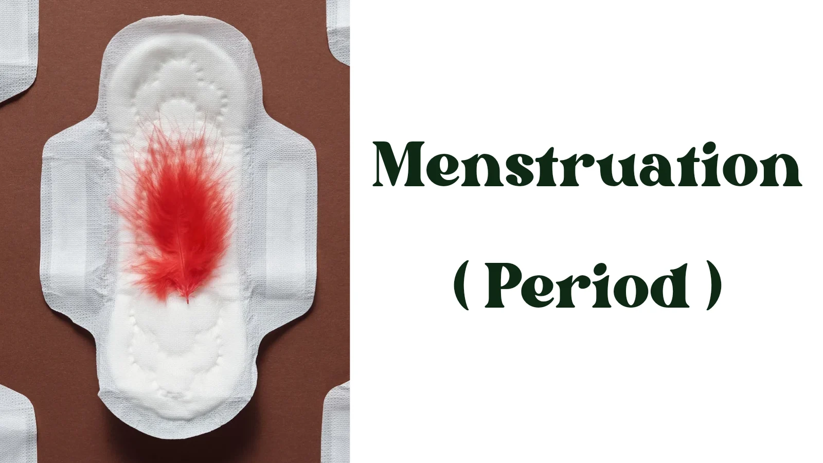 7 Powerful Facts About Menstruation You Must Know