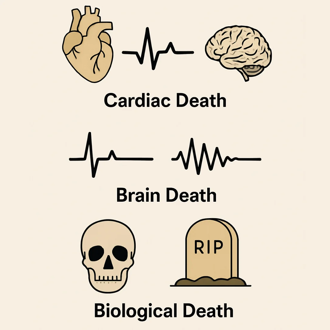 5 Shocking Death Facts That Will Change Your View