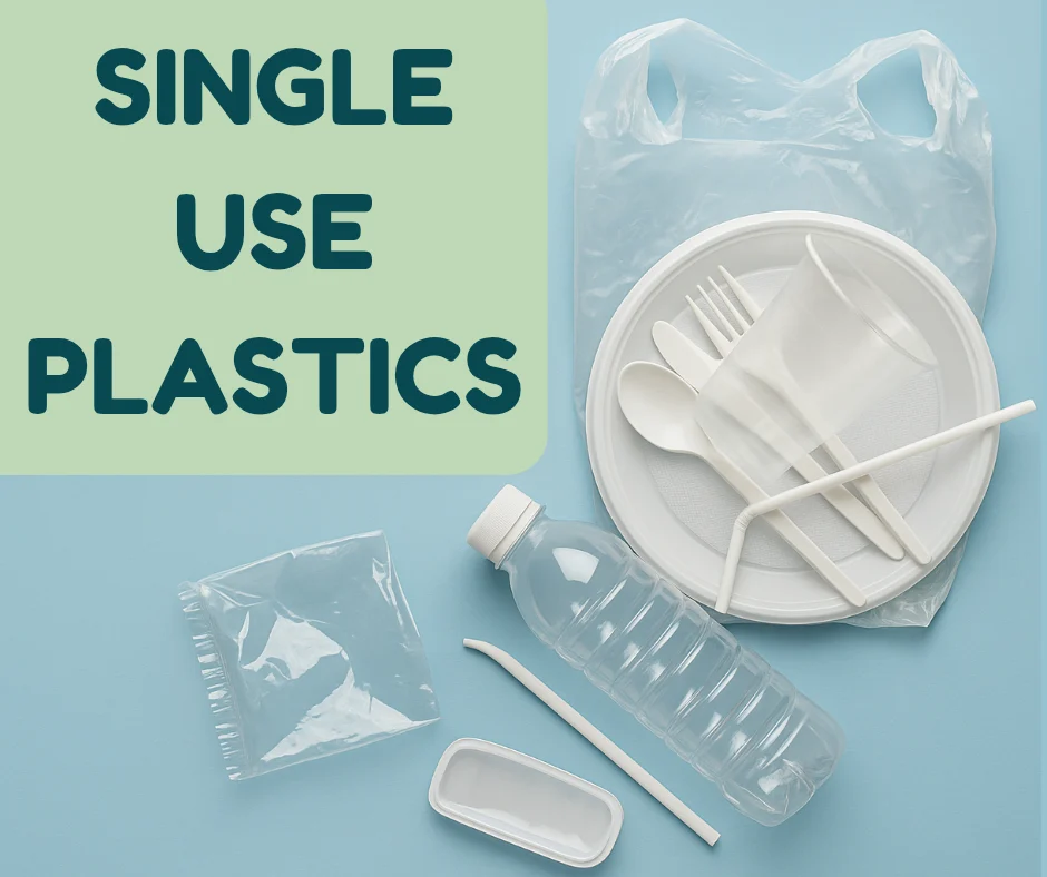 Single-Use Plastics: 7 Shocking Truths To Know Now